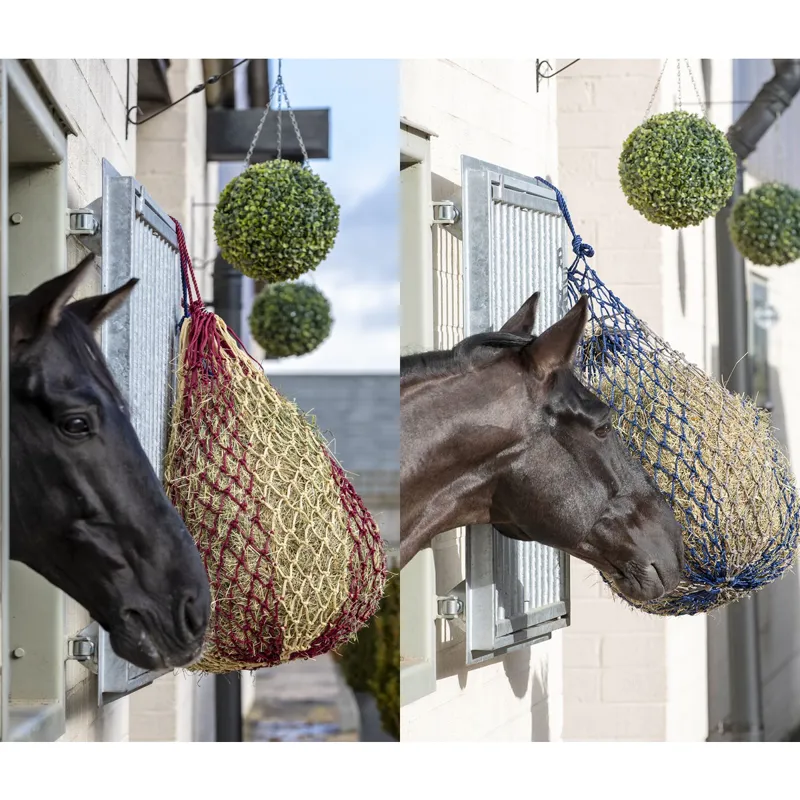 LeMieux Hippo Haynet