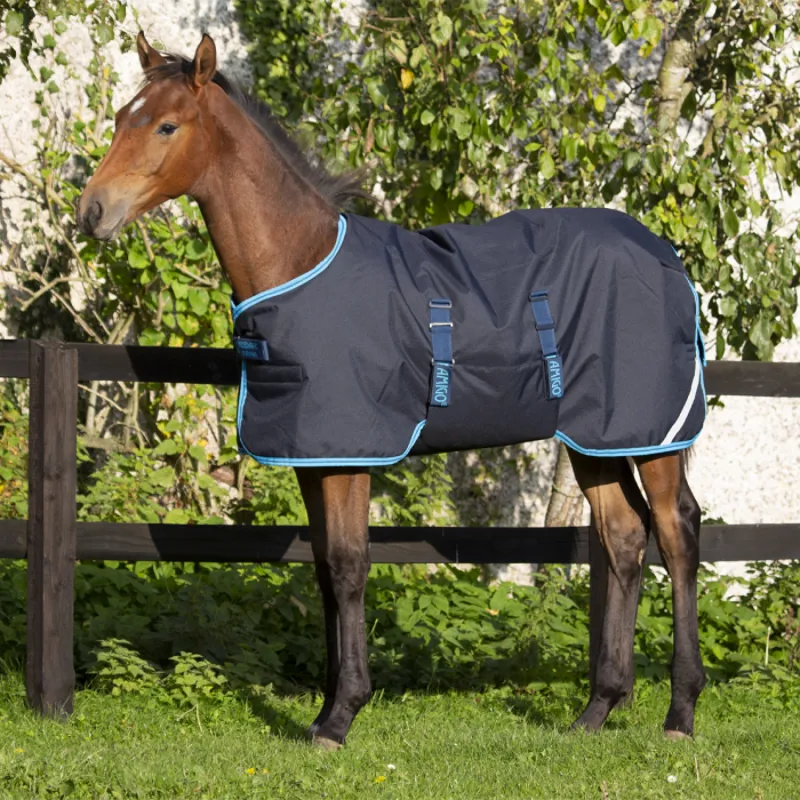 Horseware Amigo Foal 50g Ripstop Turnout Rug Navy Electric Blue Horseware Amigo Foal 50g Ripstop Turnout Rug Navy Electric Blue