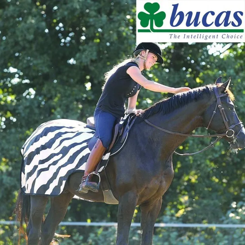 Bucas Riding Rug Zebra Exercise Sheet - Zebra