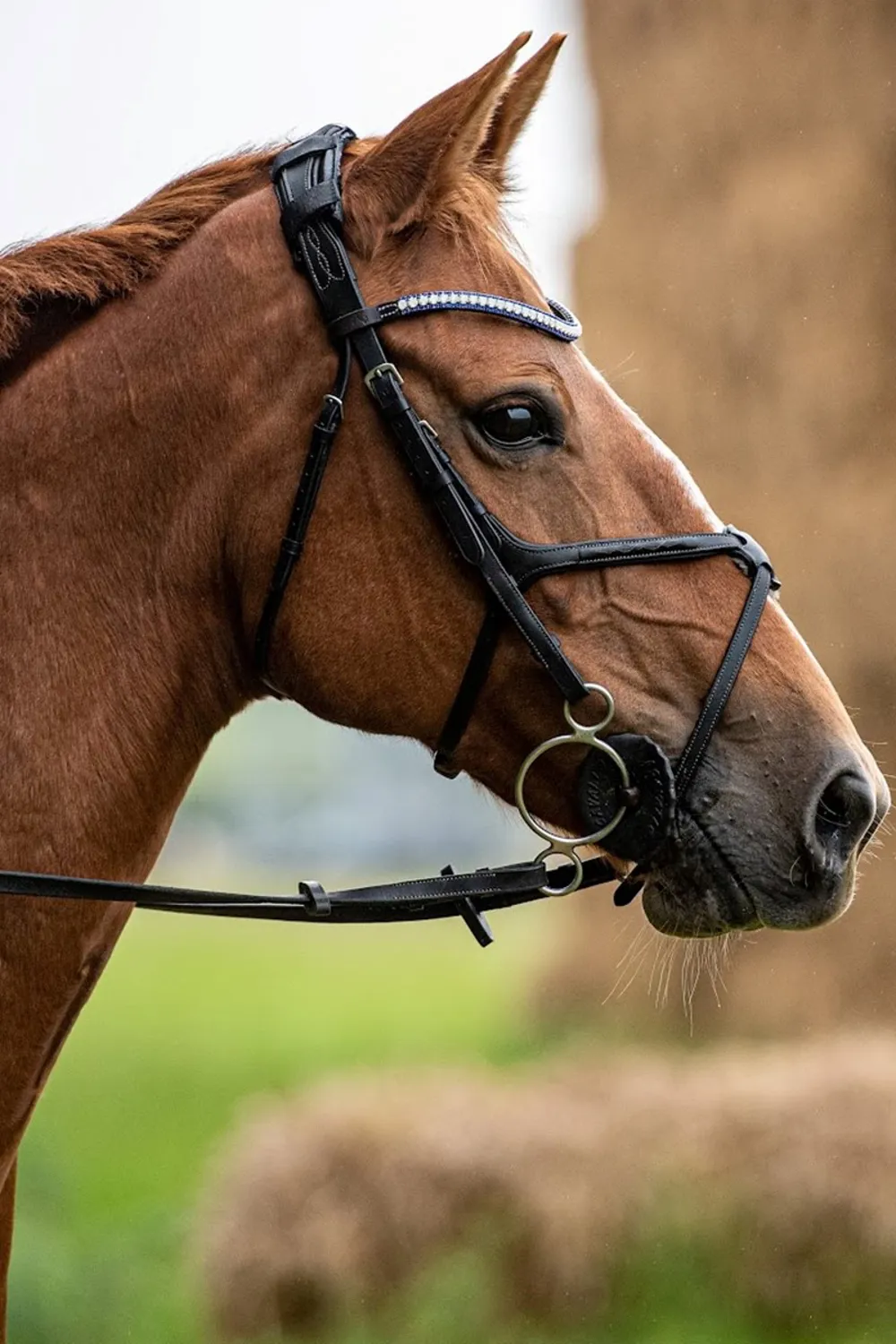 Shires - Horswear & Equestrian Wear | Hope Valley Saddlery