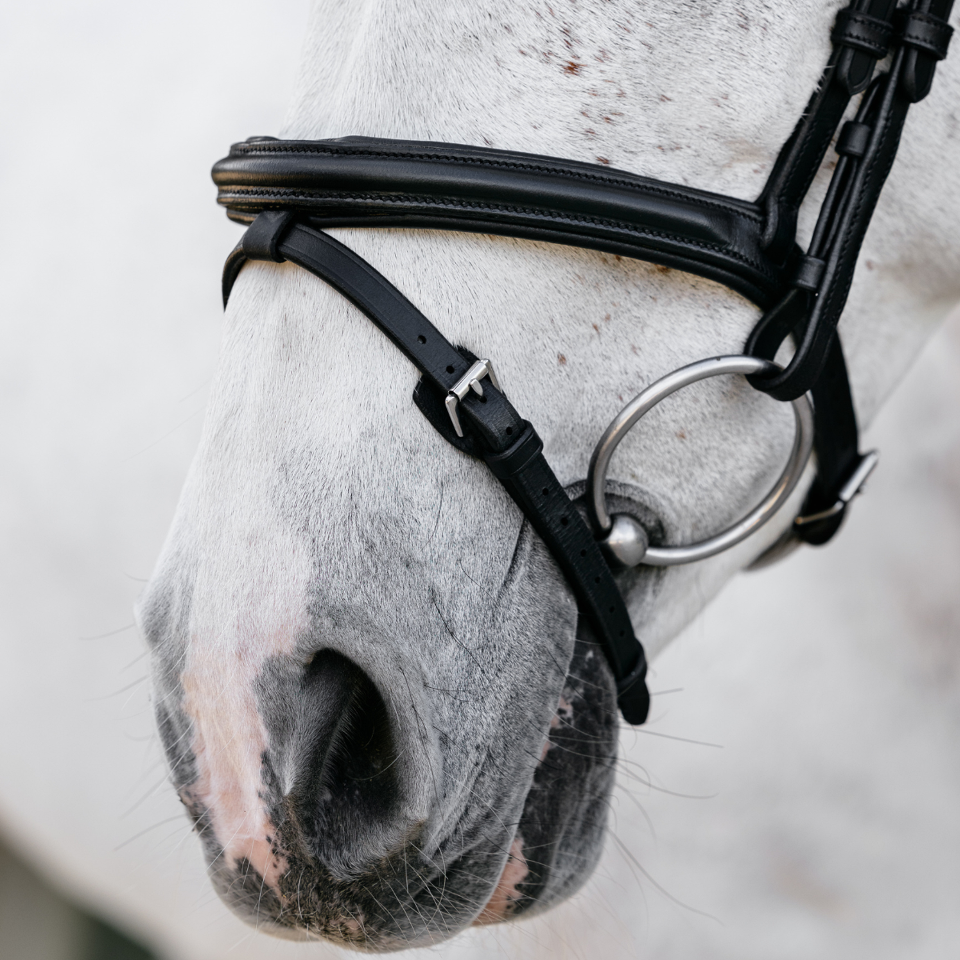 LeMieux Arika Anatomic Flash Bridle - Black/Silver