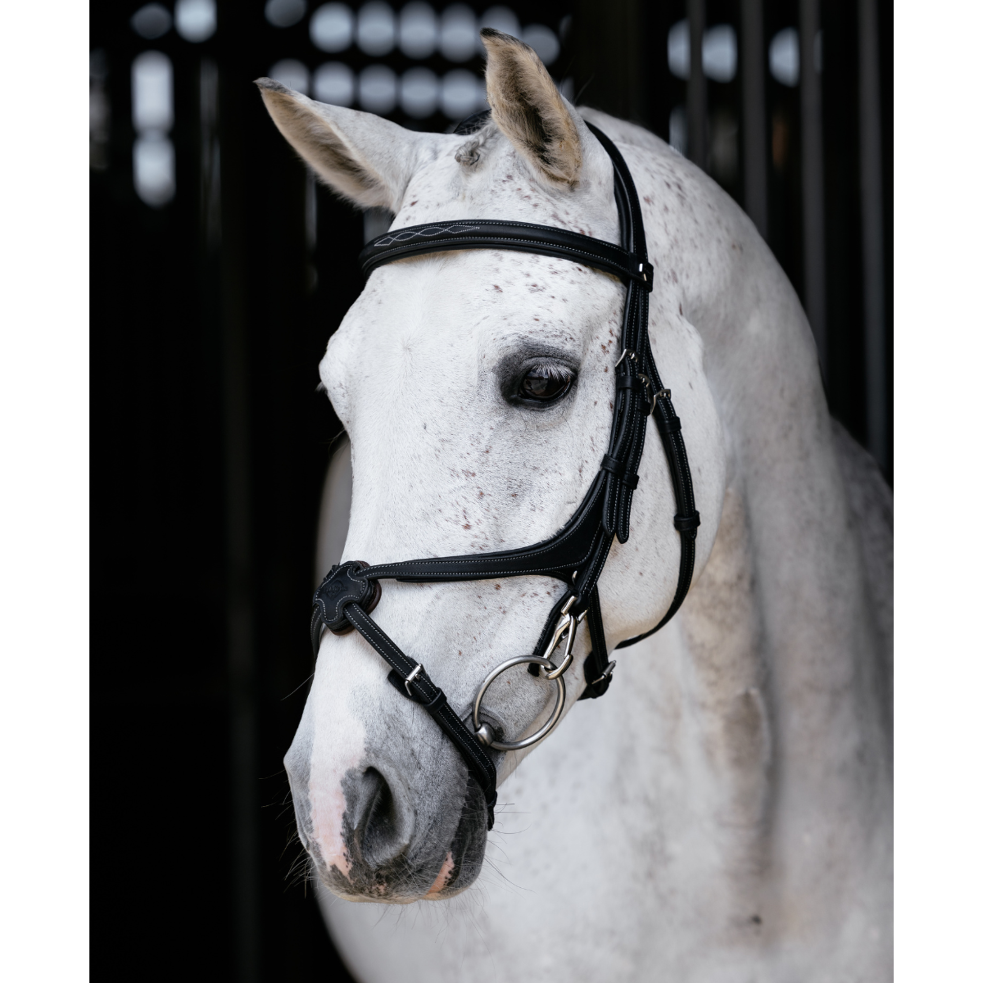 LeMieux Kudos Grackle Work Bridle - Black