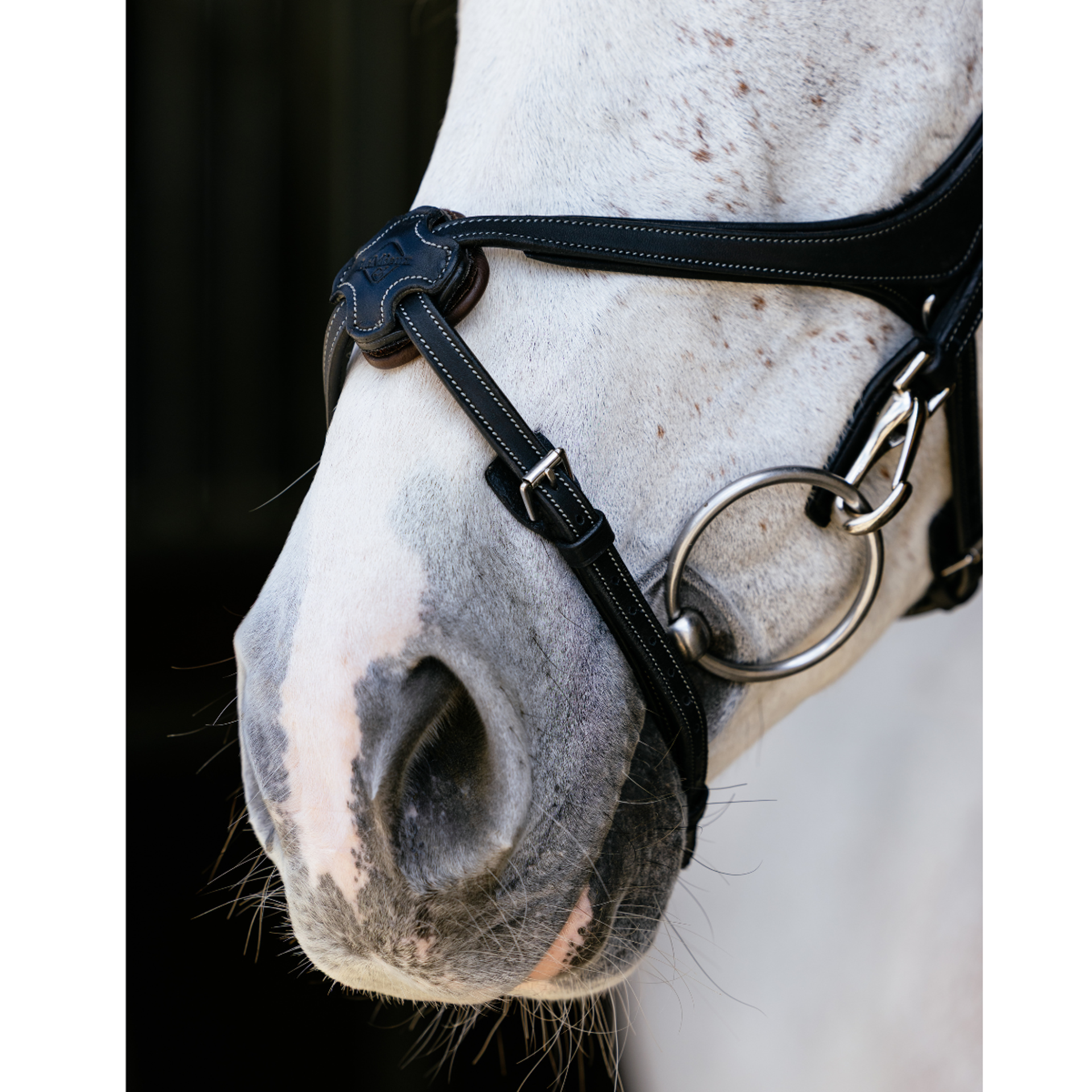 LeMieux Kudos Grackle Work Bridle - Black