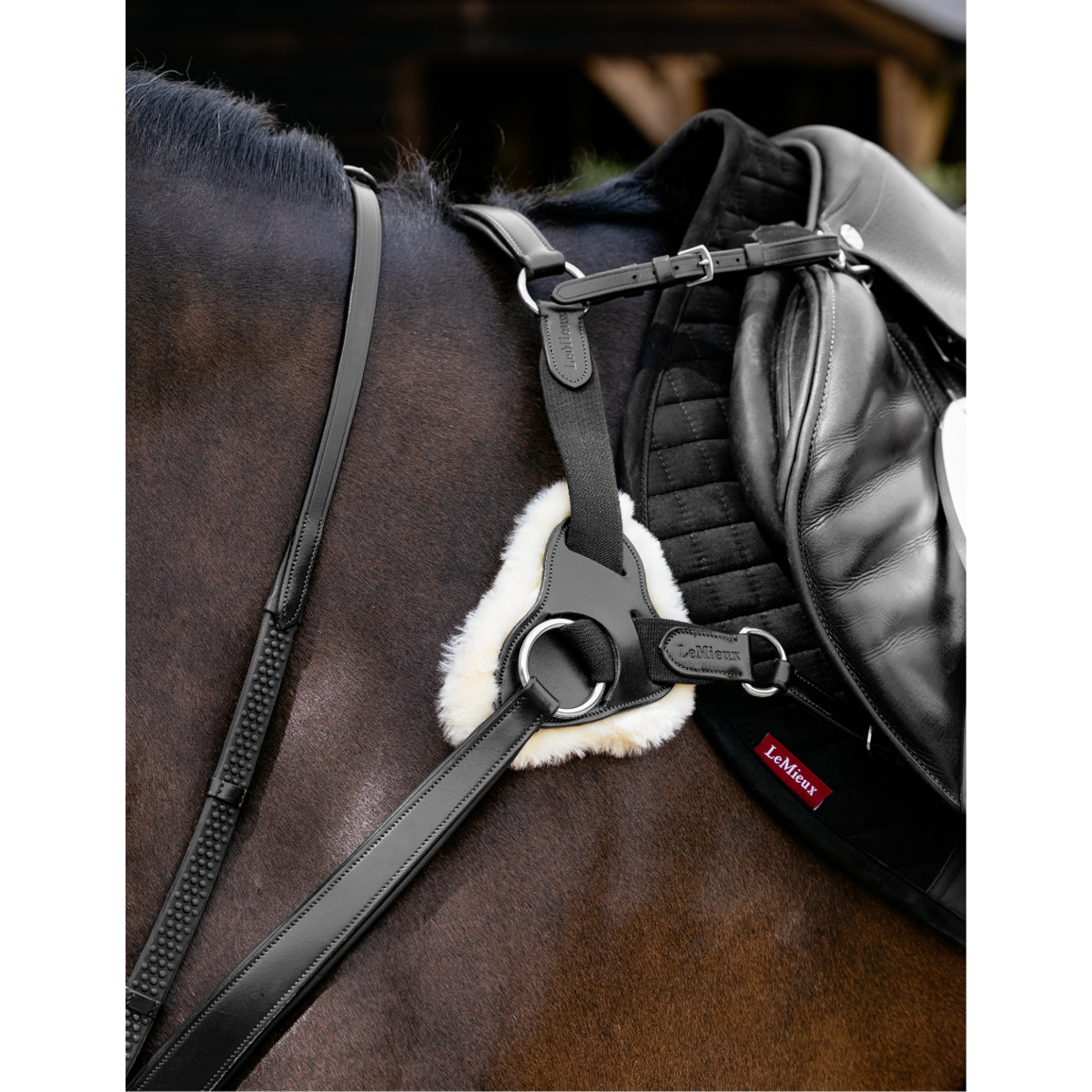 LeMieux Kudos 5 Point Bridge Breastplate - Black
