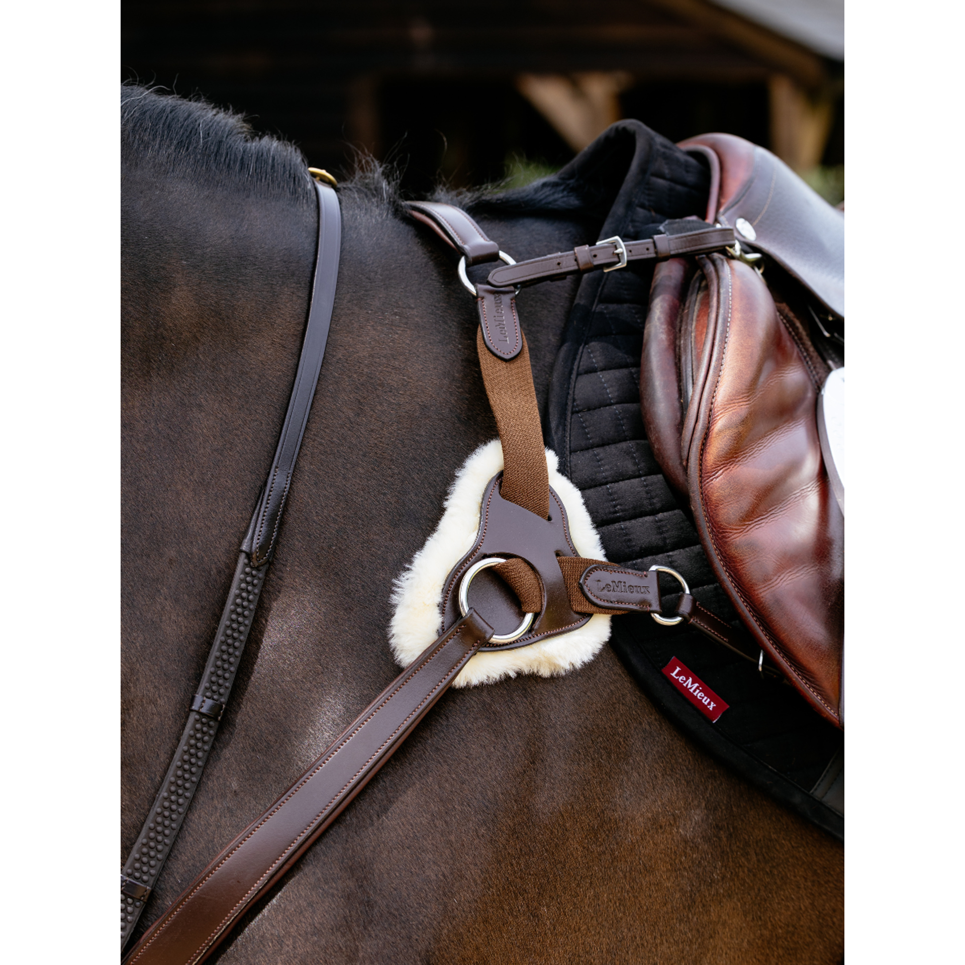 LeMieux Kudos 5 Point Bridge Breastplate - Havana